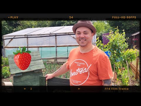 Grădina Mea de Acasă – Cu Mâinile în Pământ și Inima la Bunici ❤️