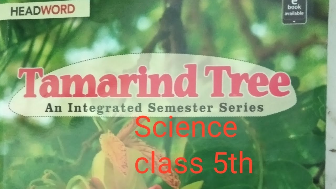 Class 5th science chapter 1 plant around us chapter explanation