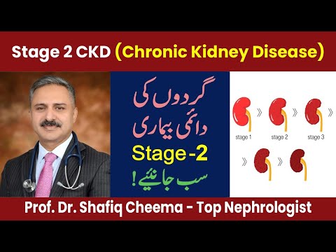 Chronic Kidney Disease (CKD) Stage 2 | Causes, Symptoms & Treatment | Best Nephrologist in Lahore