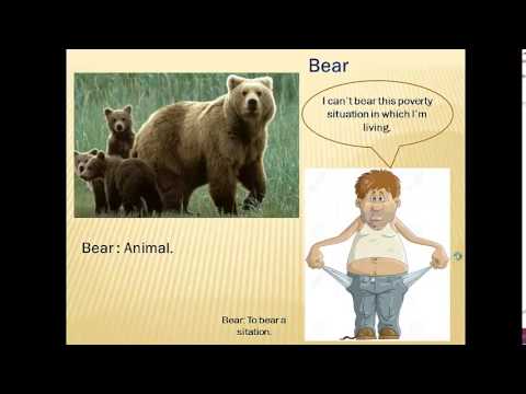 MEANING IN DIFFERENT CONTEXT PRESENTATION LANSUEL MR 20113479019