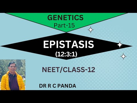 EPISTASIS (12:3:1 ) | GENETICS - Part-15 | NEET | CLASS-12 | Dr Ramesh Panda