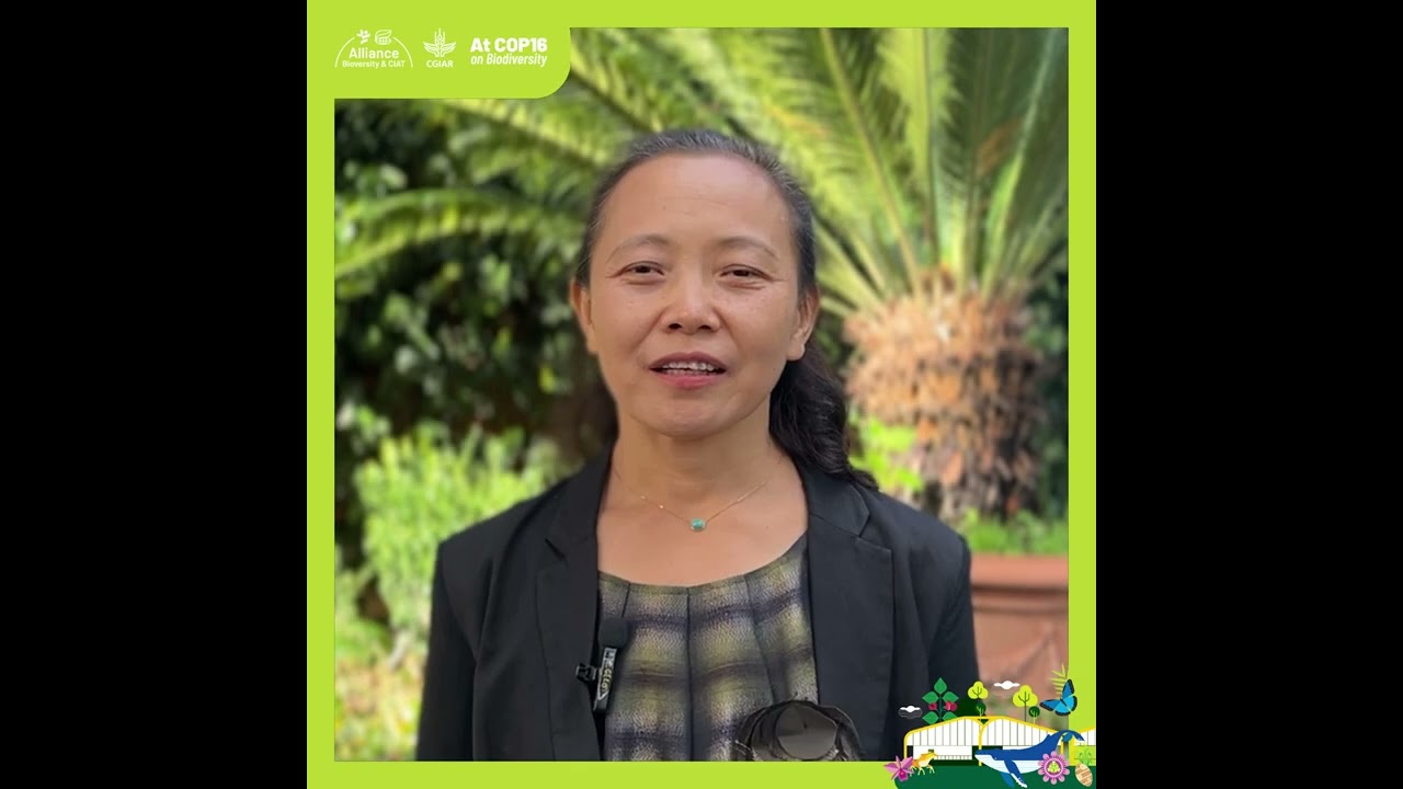 Agrobiodiversity is key to achieving national biodiversity targets, as shown by Keyu Bai