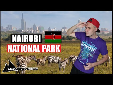 Nairobi National Park (Is It Worth Visiting?)