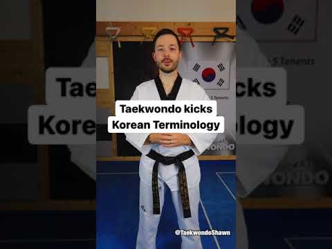 Korean Terminology🇰🇷: Taekwondo Kicks!