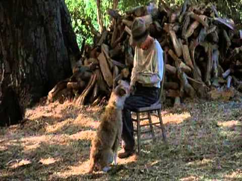 Of Mice and Men 1992 part 4 (no trap)