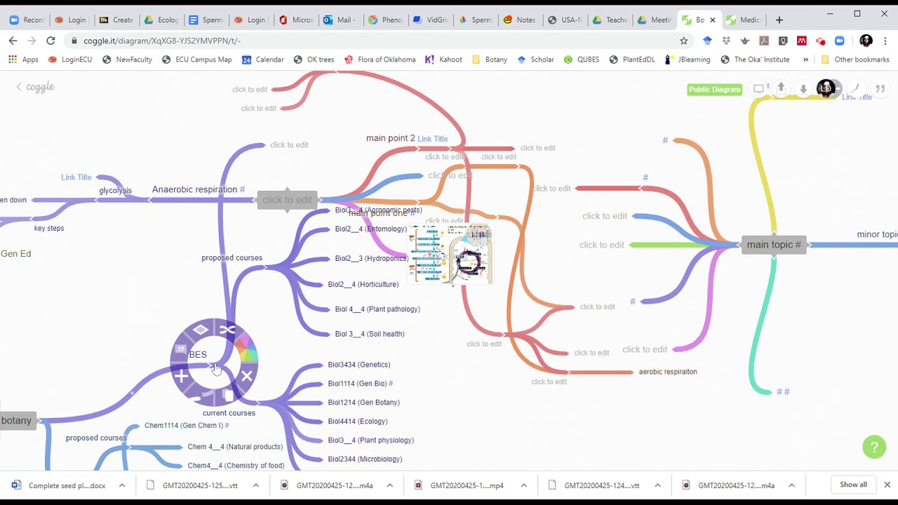 Course Mind Map through Coggle