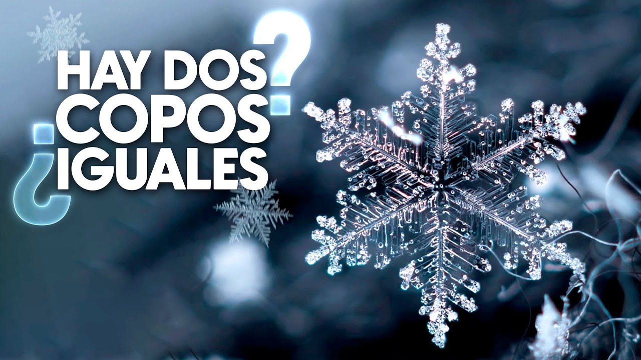 How is a snowflake formed? | Science outreach with Everyone's Wise