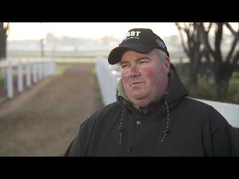 Racing Ins & Outs - Horse Nutrition