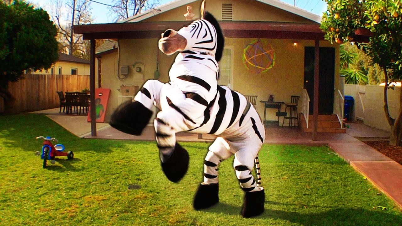 Dope Zebra - Rhett & Link (Official Original Video)