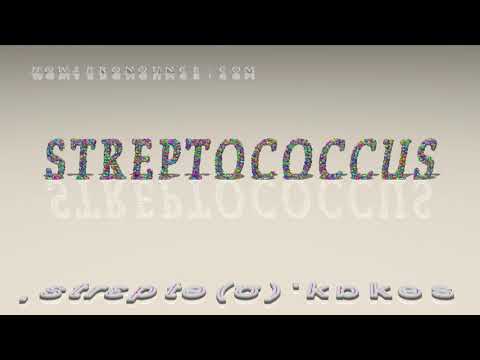 streptococcus - pronunciation
