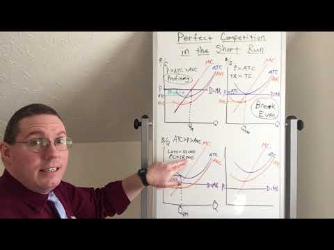 Perfect Competition in the Short Run - Professor Ryan