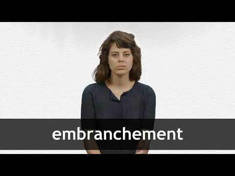 English Translation of “EMBRANCHEMENT” | Collins French-English Dictionary