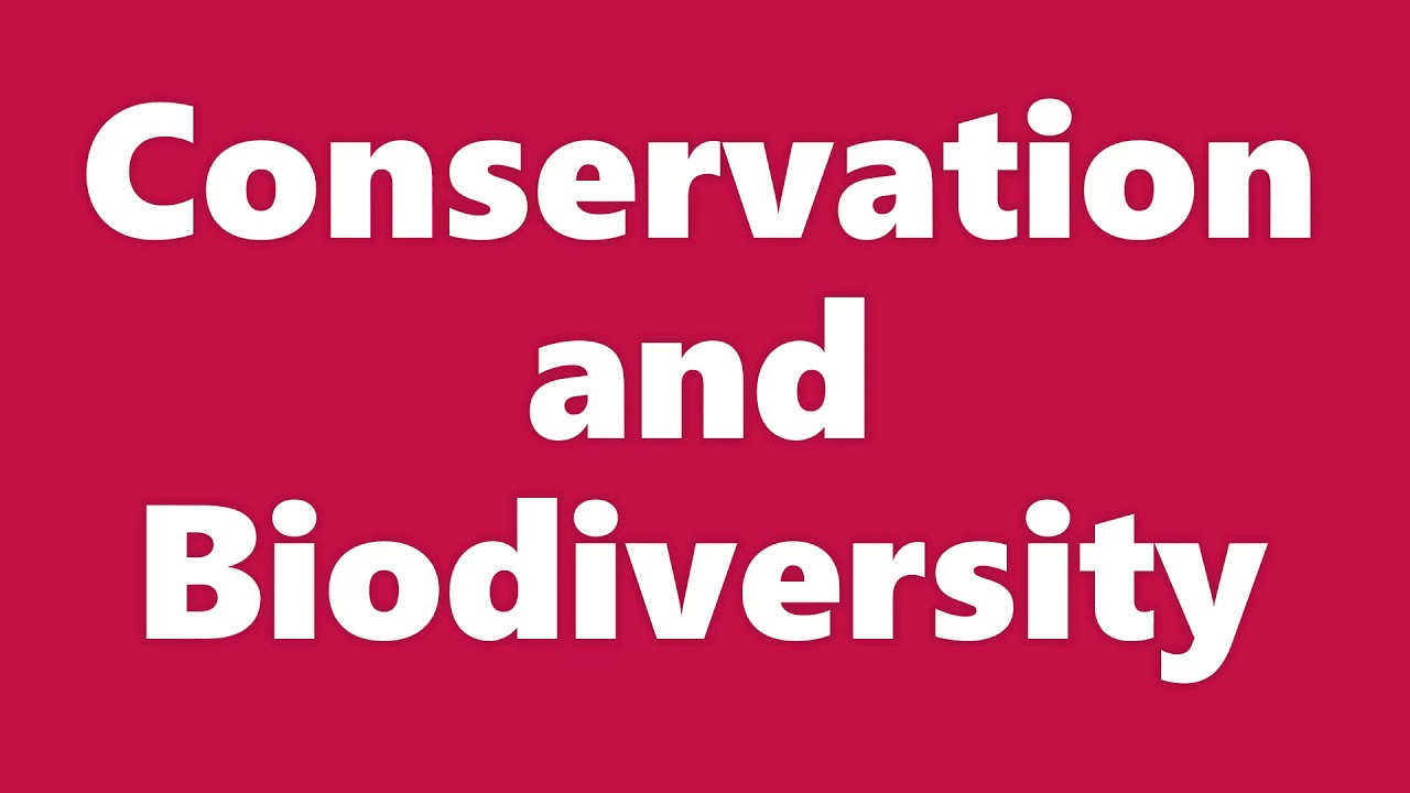 Bio Ch 47: Conservation and Biodiversity