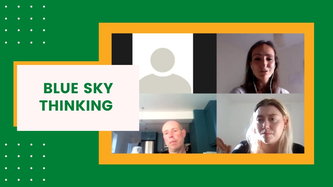 Blue Sky Thinking: Fresh ideas to encourage us to fly less