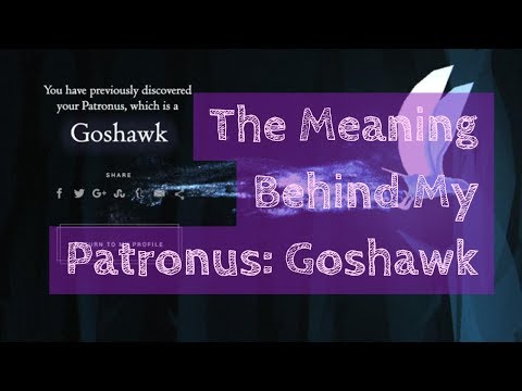 The Meaning Behind My Patronus: Goshawk