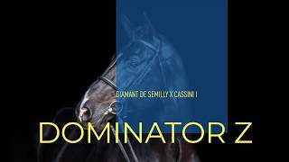 Stallion Services | Dominator Z