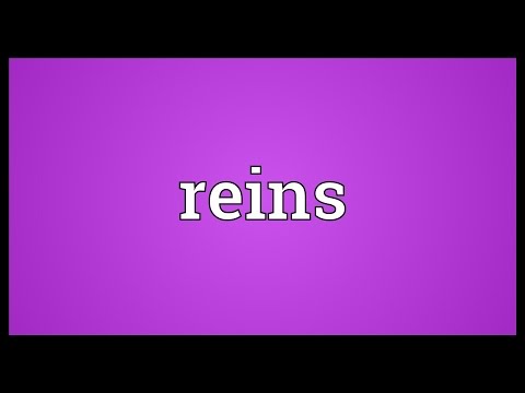 Reins Meaning