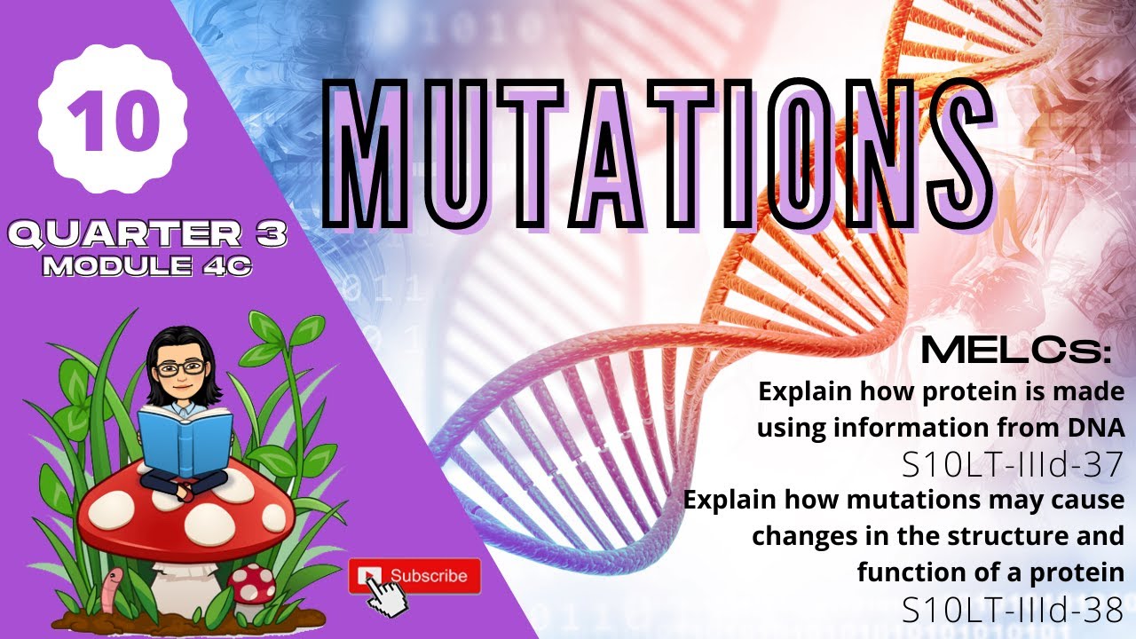 Understanding Mutations: Their Impact on Genetics and Health | Galaxy.ai
