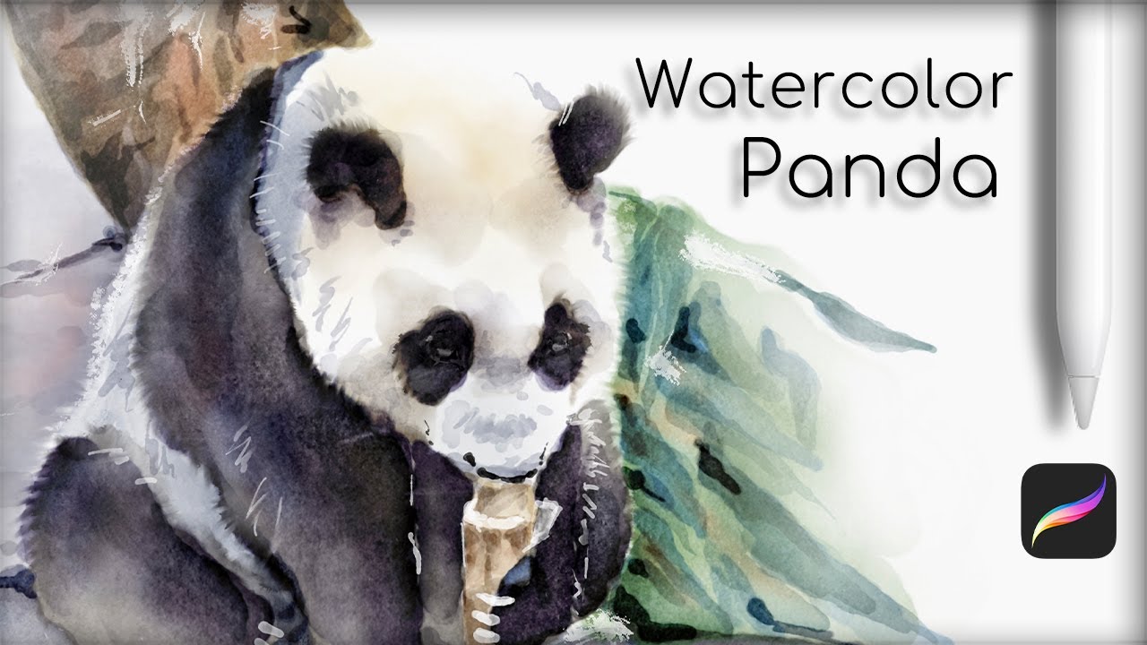 Watercolor Panda | Procreate