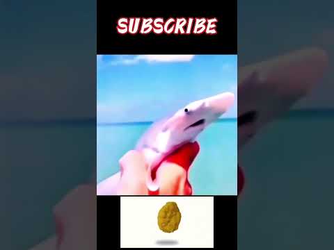 Memes I found on discord #2 #🐟