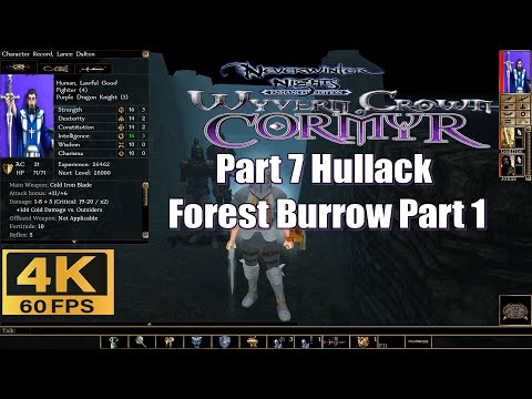Steam Community :: Video :: Neverwinter Nights Enhanced Edition Wyvern Crown of Cormyr Part 7 ...