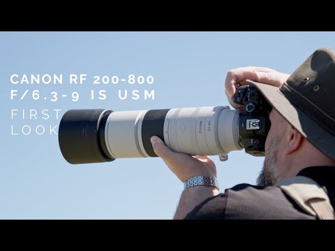 Canon RF 200-800mm: First hours (6263C005)