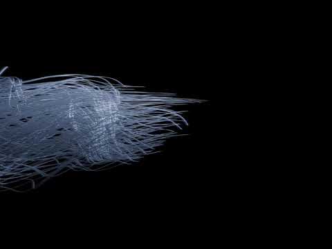 Toalson promotional video