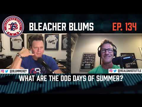 What does "Dog Days of Summer" mean?