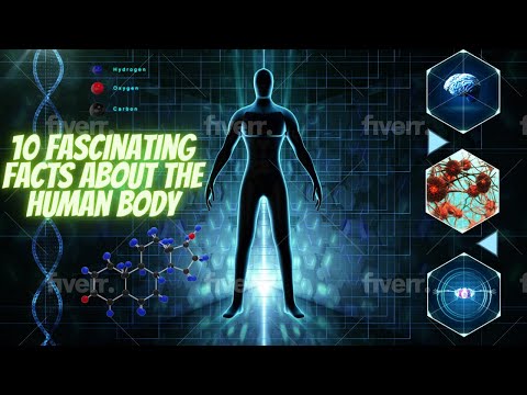 10 Fascinating Facts About The Human Body