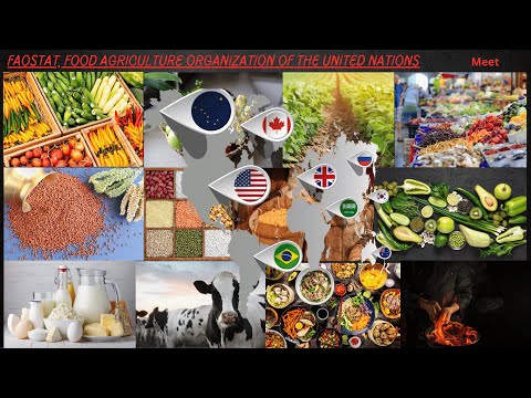 Do You Know About Top Meet Producation Countries?