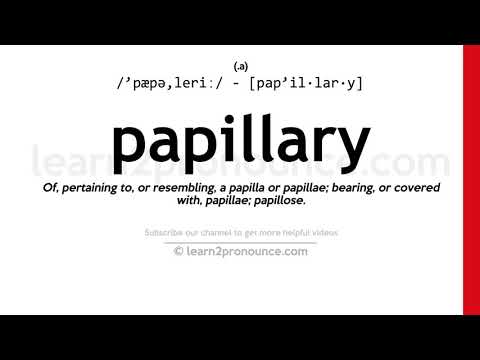 Pronunciation of Papillary | Definition of Papillary