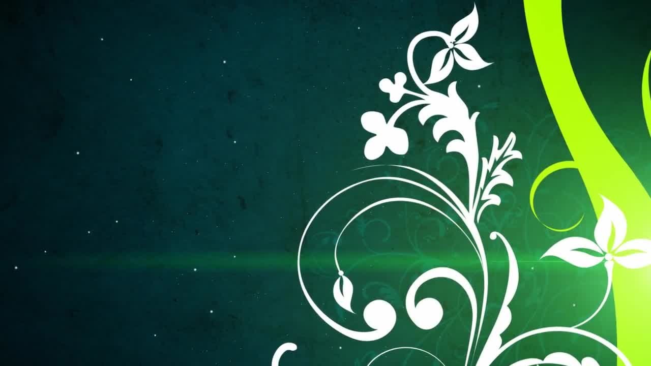 Vector Flowers 3 Loop Motion Graphics