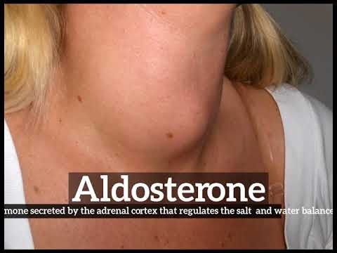 What is Aldosterone? | How Does Aldosterone Look? | How to Say Aldosterone in English?
