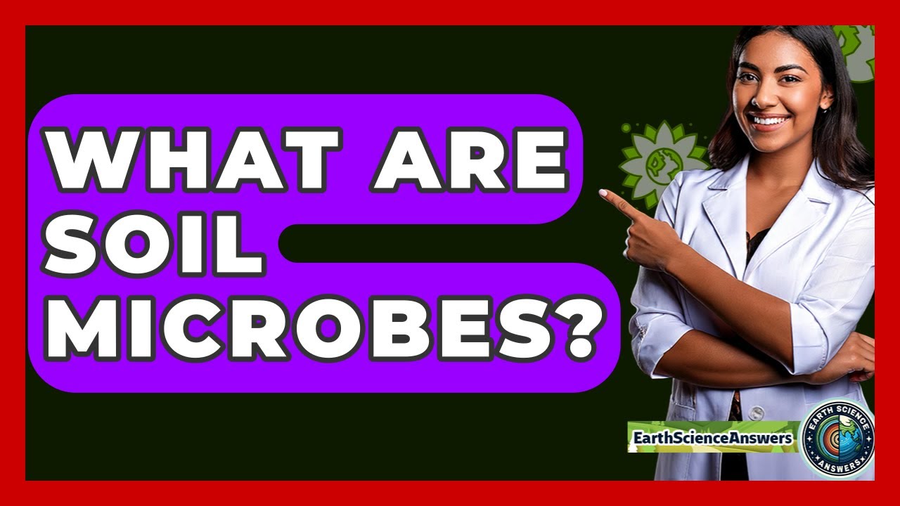 What Are Soil Microbes? - Earth Science Answers