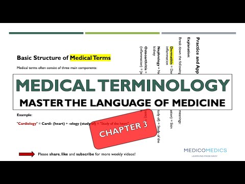Medical Terminology Chapter 3 | Anatomy Terms: Nervous, Digestive, Endocrine & Urinary Systems