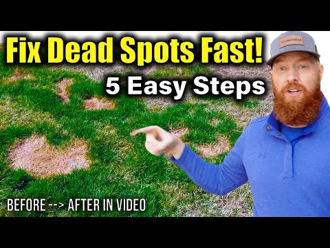 Repair dead patches in grass FAST!