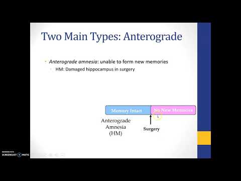 Cognitive Psych: Consolidation and Amnesia