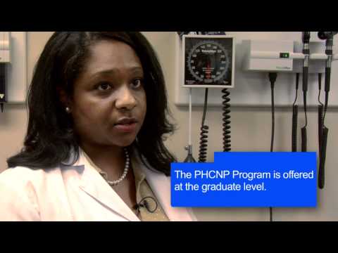 What is the PHCNP Program?