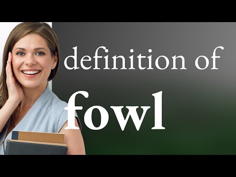 Fowl | FOWL meaning