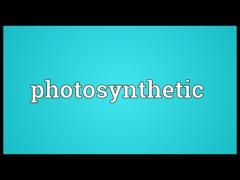 Photosynthetic Meaning