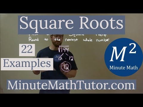 Square Roots | 22 Examples