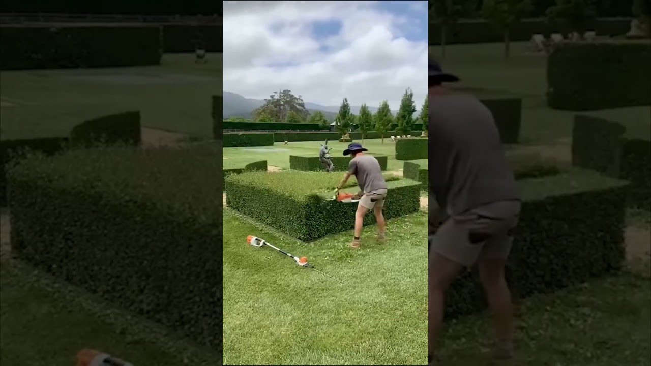 Trees Landscaping Ideas Trending #viral