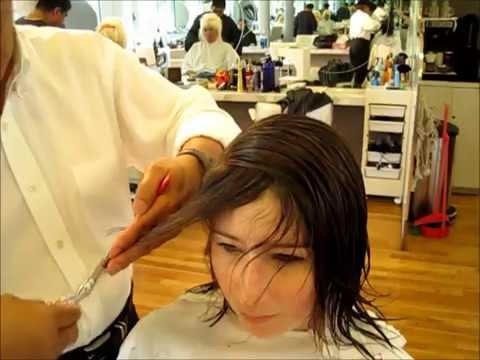 Nice trim hair cut – Beverly Hills Hair Stylist Mogi