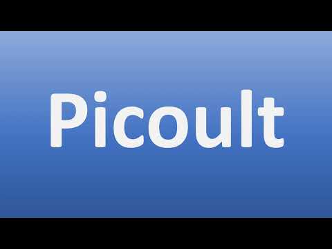 How to Pronounce Picoult