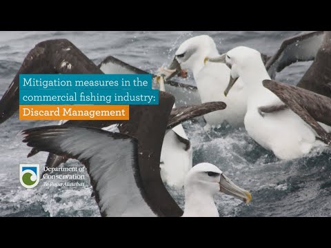 Discard management: Mitigation measures in the commercial fishing industry