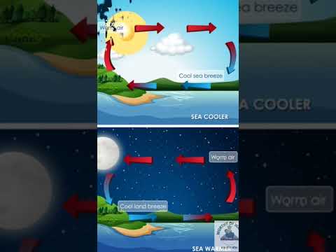 Monsoon In 1 Minute    #worthyofwardi #cds2023