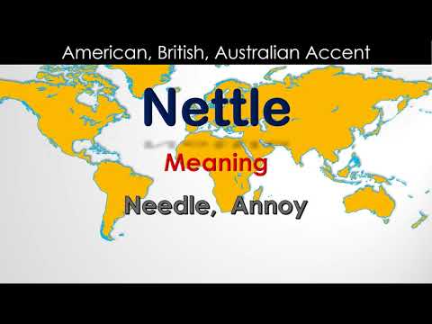 Nettle - How to Pronounce Nettle in British Accent, Australian Accent and American Accent