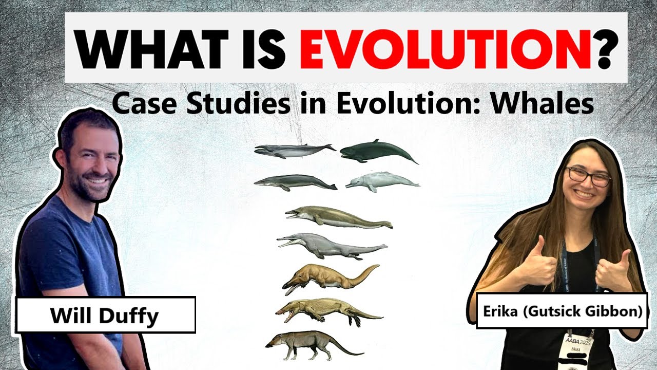 Teaching Famous Creationist Will Duffy Evolutionary Theory (LIVE) Evolutionary Case Studies: Whales