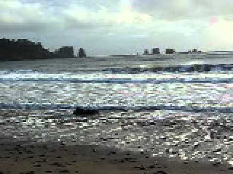 First Beach, La Push Washington