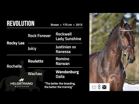 Revolution by Rocky Lee/Rouletto - open house 2018